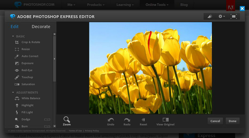 Free Online Photo Editors Review - Colour My Learning