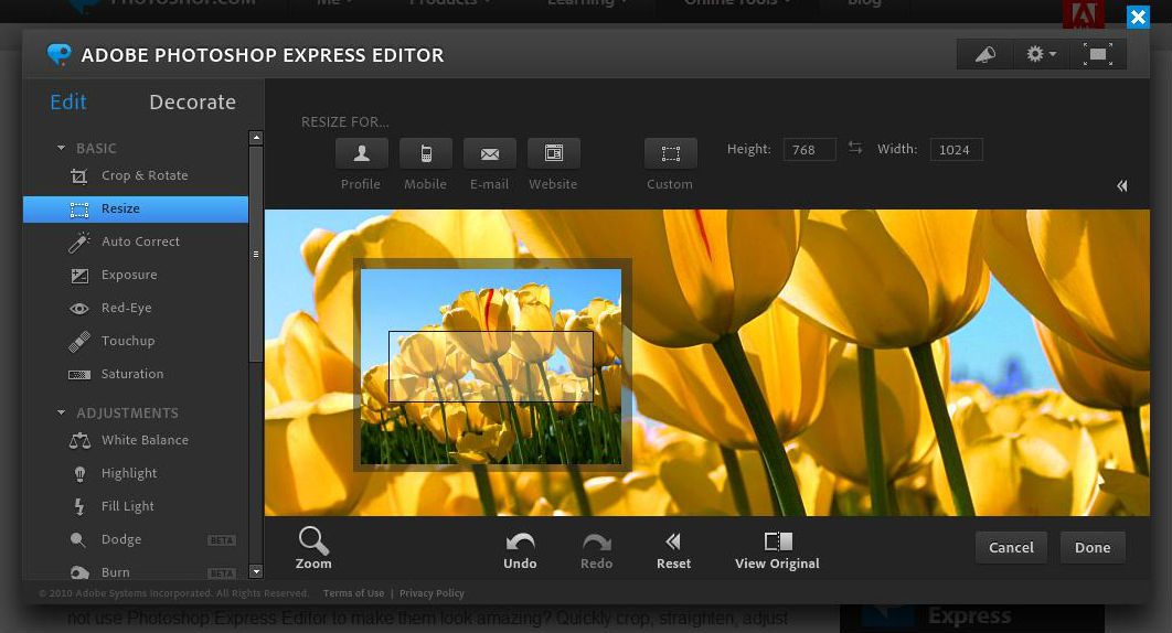 Free Online Photo Editors Review - Colour My Learning