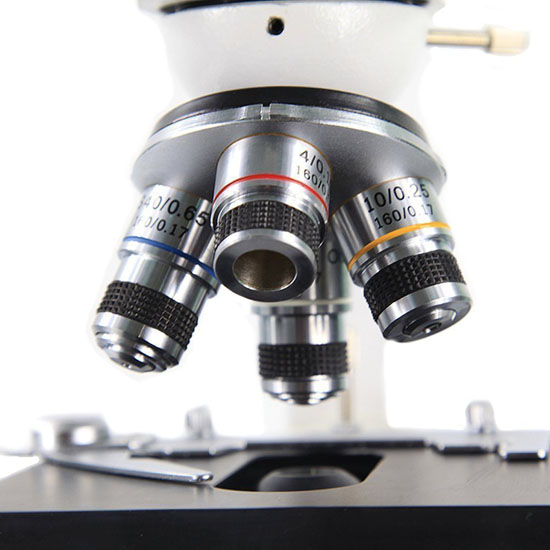 Best Optical Microscopes for Young Biologists to Professionals - Colour ...