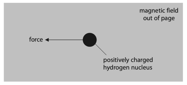 IGCSE Physics Radioactivity & Particles Past Papers Exam Questions ...