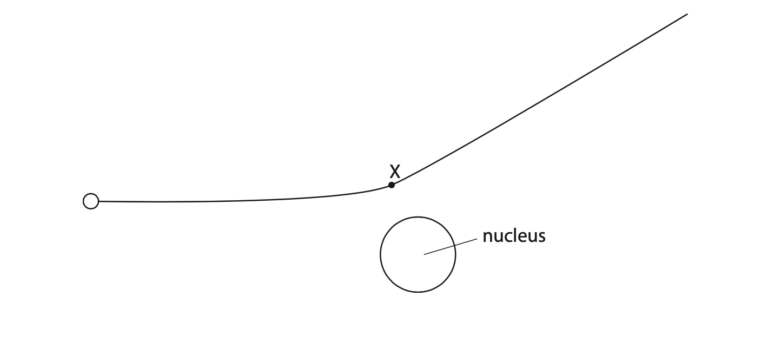 IGCSE Physics Radioactivity & Particles Past Papers Exam Questions ...